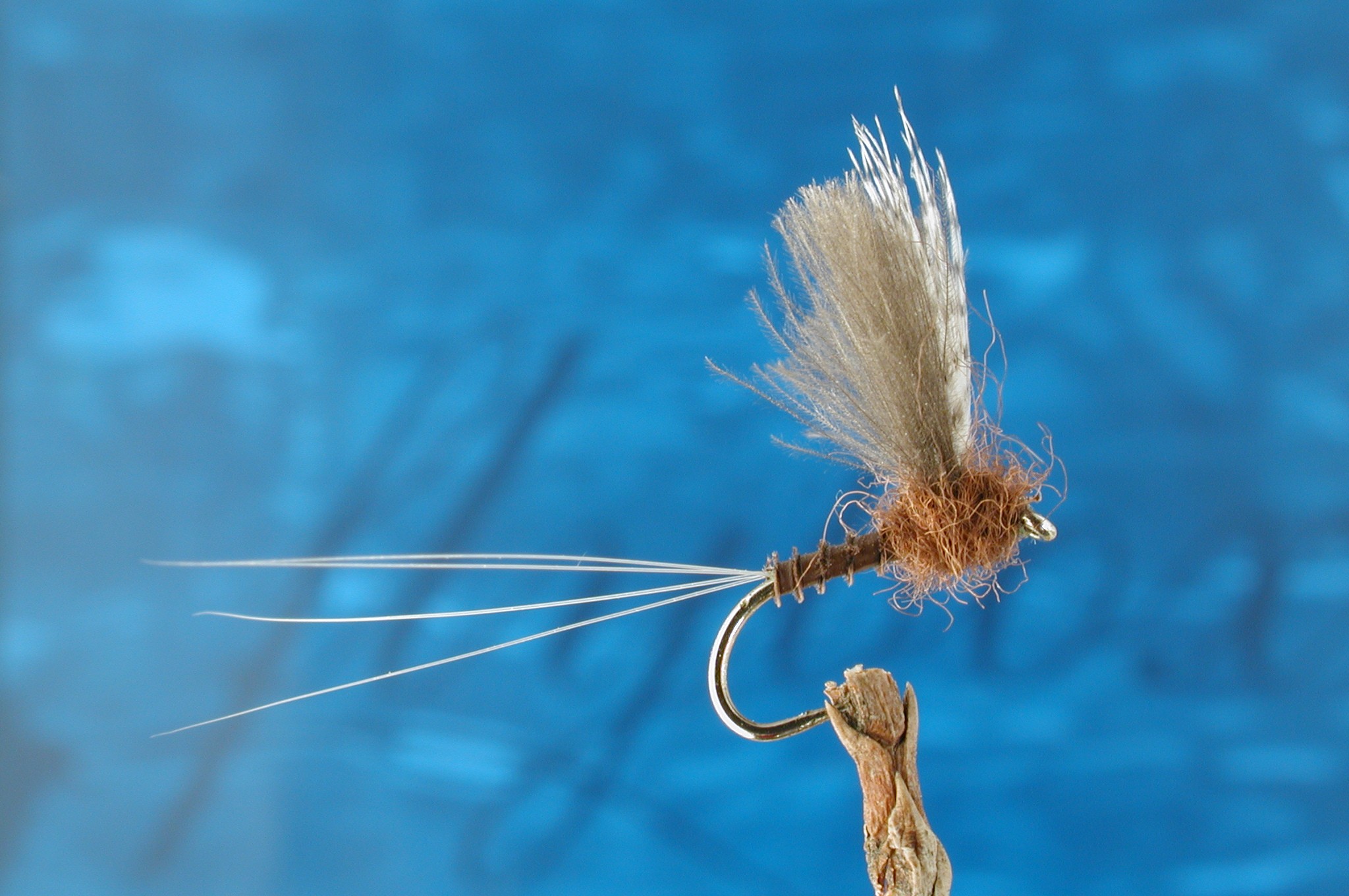 CDC Biot Comparadun Quill Gordon Fly - Fishing Flies with Fish4Flies Worldwide